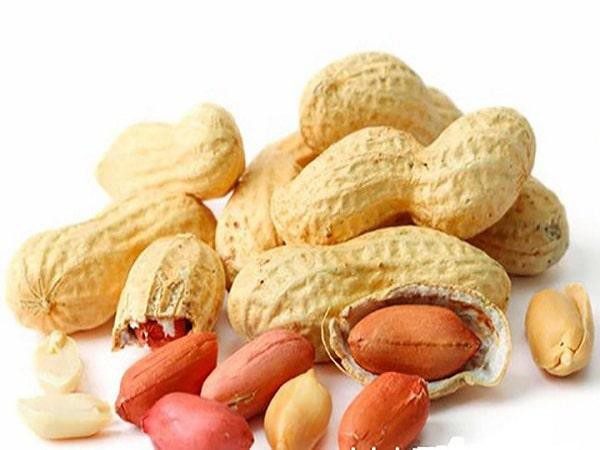 Hạt lạc tiếng anh là gì? Từ vựng và cách phát âm về Hạt lạc