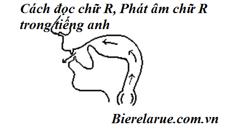 Cách đọc chữ R, Phát âm chữ R trong tiếng anh như thế nào?